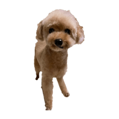 rb_20220511190310 – LINE貼圖 | LINE STORE