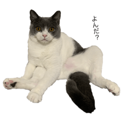 ずもさん - LINE スタンプ | LINE STORE