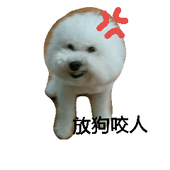 DiDi family 1 – LINE stickers | LINE STORE