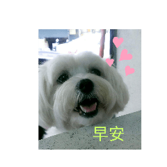 COCO_20220516180452 – LINE stickers | LINE STORE