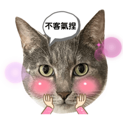MJ&Cat_20220517111021 – LINE stickers | LINE STORE