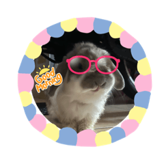 JJ Bunny_20220517153300 – LINE stickers | LINE STORE