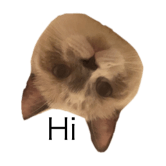 CHARL_20220518195905 – LINE stickers | LINE STORE