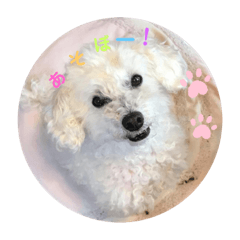 mochako_20220520113638 - Stiker LINE | LINE STORE