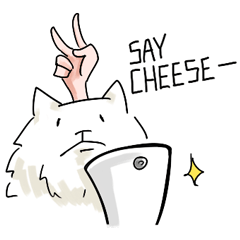 Dum-dum cat – LINE stickers | LINE STORE