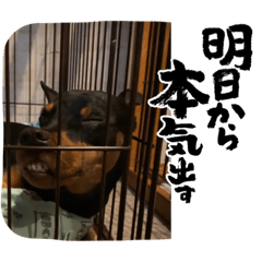 Kenbo_family_20220526232755 – LINE 스티커 | LINE STORE