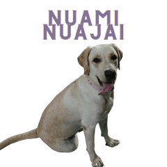 Nuami Nuajai – LINE stickers | LINE STORE