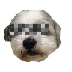 matsunoki_20220529100638 – สติกเกอร์ LINE | LINE STORE