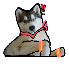 Huskey Huskey Time - Stiker LINE | LINE STORE