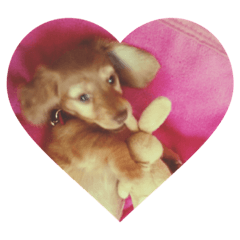 CoOoOoOo – LINE stickers | LINE STORE