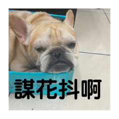 CiShuo_20220612202305 – LINE stickers | LINE STORE