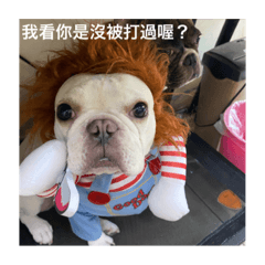 CiShuo_20220612193232 – สติกเกอร์ LINE | LINE STORE