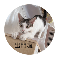 yuknot_20220613151023 – LINE stickers | LINE STORE