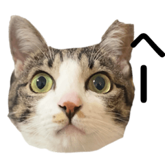 ru2_20220615213633 - Stiker LINE | LINE STORE