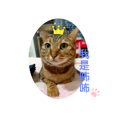 BuBu little princess - LINE スタンプ | LINE STORE