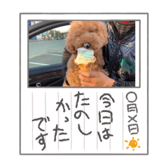 sisimaru_20220616112924 – LINE stickers | LINE STORE