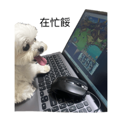 FIZZ_20220619153801 - Stiker LINE | LINE STORE