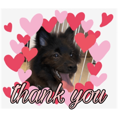 kocha_20220619203144 – LINE stickers | LINE STORE