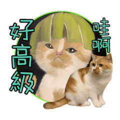 Milla_EE – LINE stickers | LINE STORE