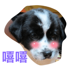 JunJun_20220623152952 - LINE スタンプ | LINE STORE