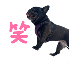 ayapo_20220625145448 – LINE stickers | LINE STORE