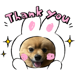 SHABU & Brothers – LINE stickers | LINE STORE