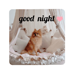 pi-man_20220629014027 – LINE stickers | LINE STORE