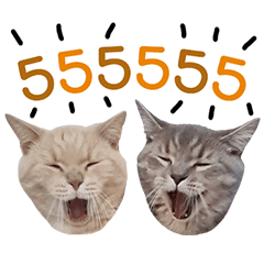 Toya & Kouun – LINE stickers | LINE STORE