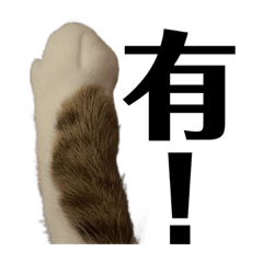 WEIMIN Fan_20220704095410 - LINE スタンプ | LINE STORE