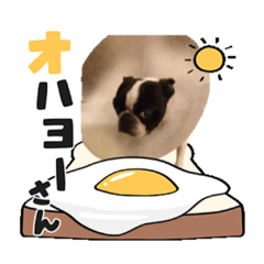 reuben_20220704163013 – LINE stickers | LINE STORE
