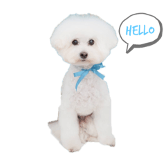 wanco minca看板犬 - LINE スタンプ | LINE STORE