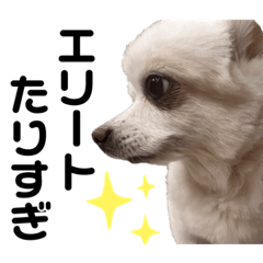 uni_20220705180246 – LINE stickers | LINE STORE