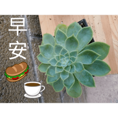 Raccy_20220706122642 – LINE stickers | LINE STORE