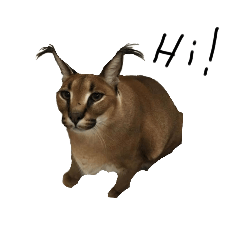 cute floppa – สติกเกอร์ LINE | LINE STORE