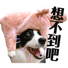 Kimmm_20220708175506 – LINE stickers | LINE STORE