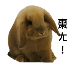 Jaden_20220708191739 – LINE stickers | LINE STORE