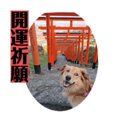 tetu mama_20220709123954 - Stiker LINE | LINE STORE