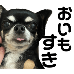 uni_20220709180558 – LINE stickers | LINE STORE