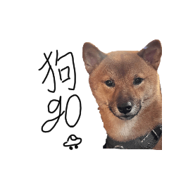 jenny_20220710024446 – LINE stickers | LINE STORE