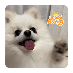 yuiho._.123456789 – LINE stickers | LINE STORE
