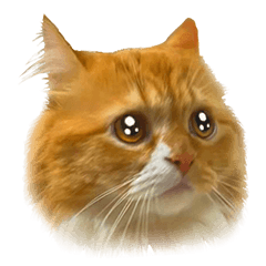 feather & balbal 2ed - LINE スタンプ | LINE STORE