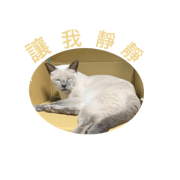 Erica_20220711110044 – LINE stickers | LINE STORE