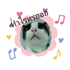 Nan.001 – LINE stickers | LINE STORE