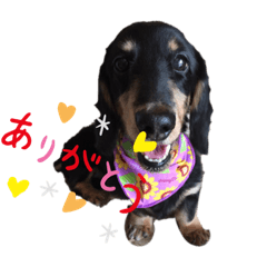 yungus_20220716175402 – LINE stickers | LINE STORE