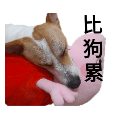 Dong_20220718083430 – LINE stickers | LINE STORE