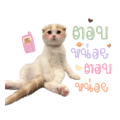 Nori Moew – LINE stickers | LINE STORE
