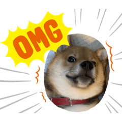 Qyan_20220721154742 - LINE スタンプ | LINE STORE