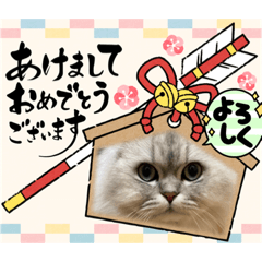 REN...MIKADO_20220722215338 – LINE stickers | LINE STORE