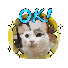 mika_20220723221225 – LINE stickers | LINE STORE