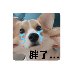 Chang ching cheng_20220726040538 – LINE stickers | LINE STORE